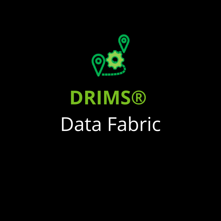 ALICE Digital Accelerators