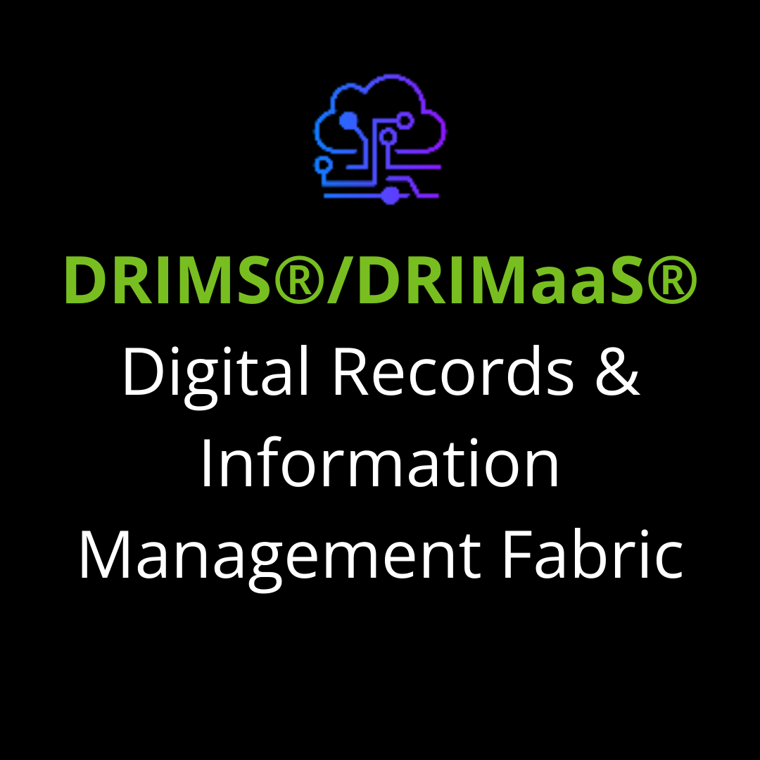 ALICE Digital Accelerators